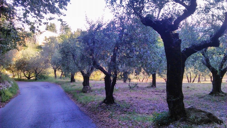 Gubbio Tree & Christmas Markets – Culture & Outdoors